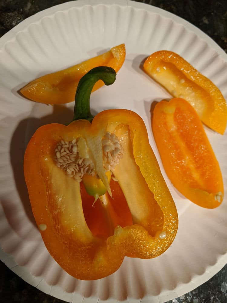 She cut open a pepper and water gushed out?!?