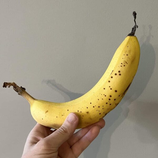 A translucent, floppy, overripe banana