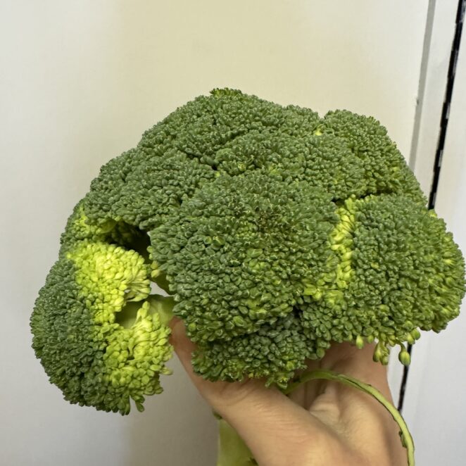 Foods Archives - Eat Or Toss